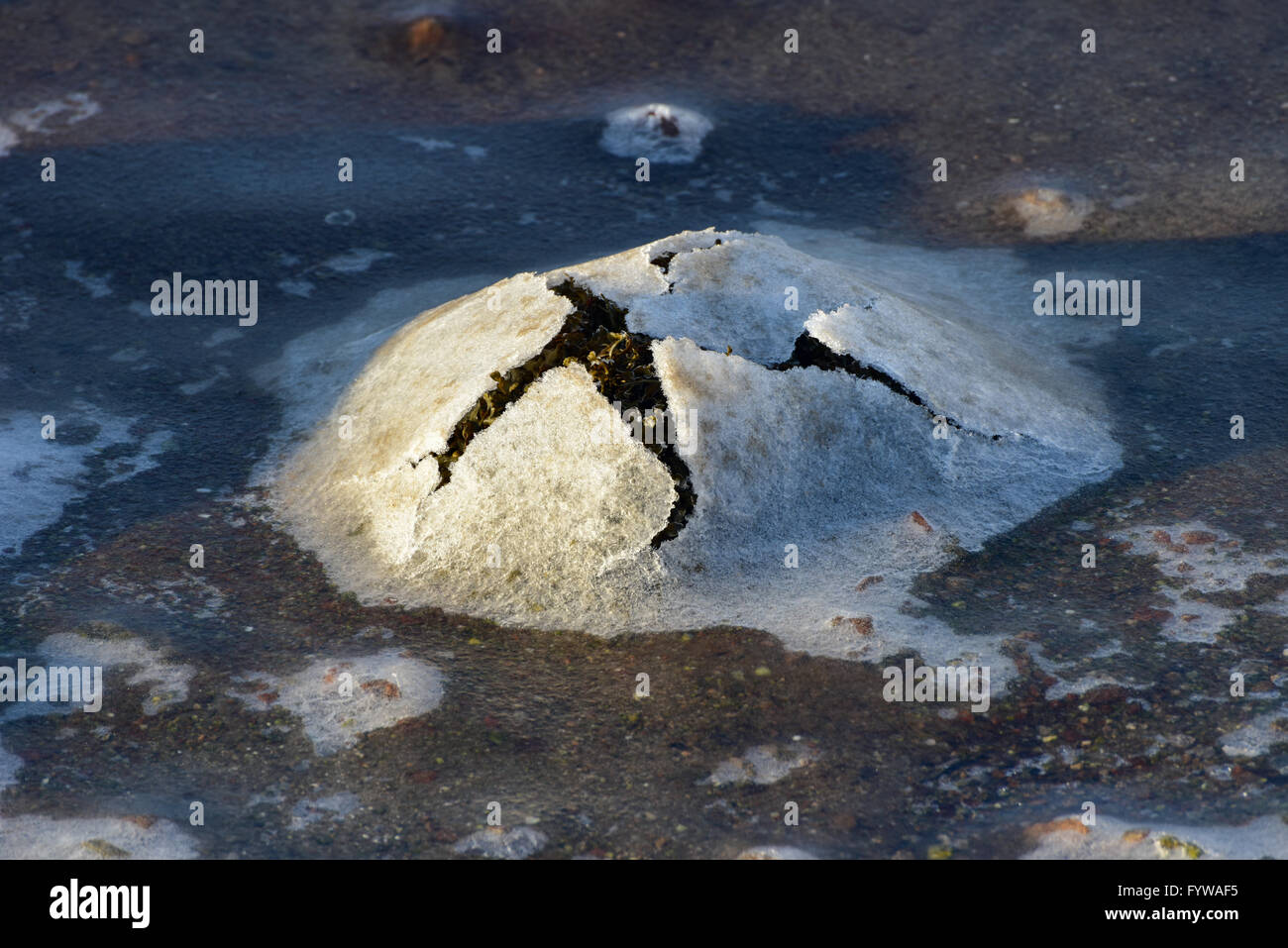 Rock cracking through the ice in Boosen in the Lofoten Islands, Norway ...