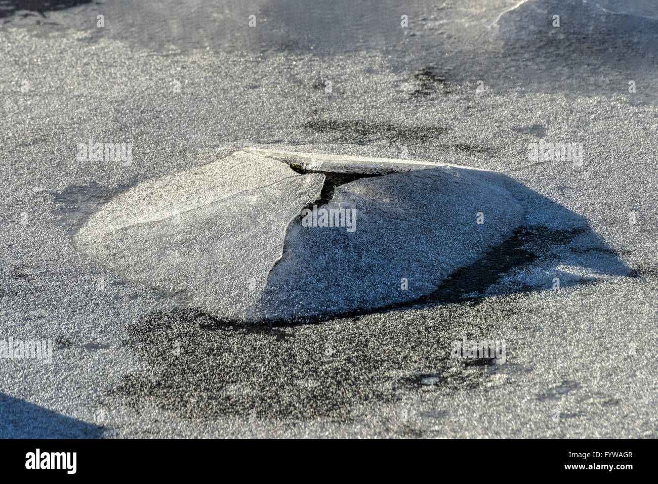 Rock cracking through the ice in Boosen in the Lofoten Islands, Norway ...