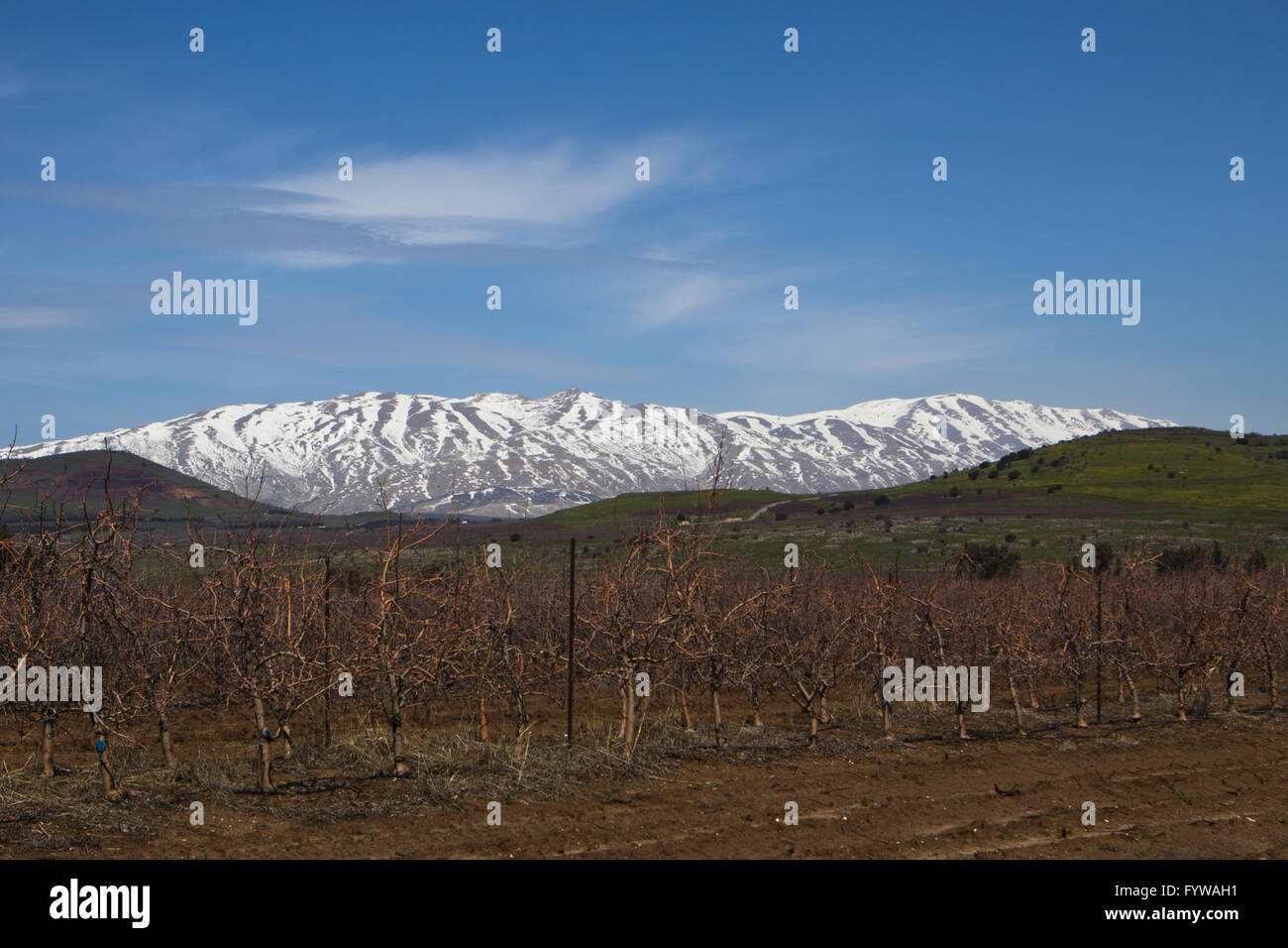 Hermon mountain hi-res stock photography and images - Alamy