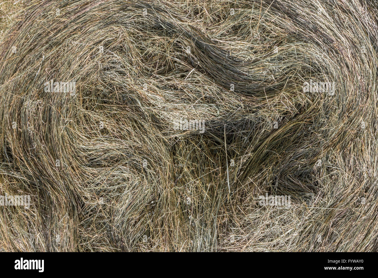 Hay frame hi-res stock photography and images - Alamy