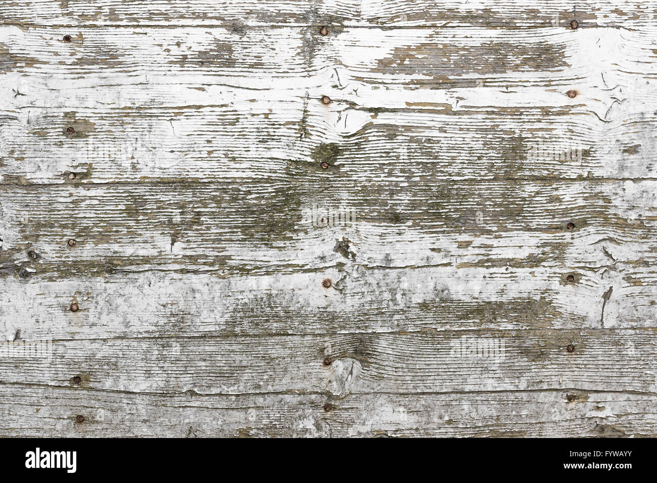 Wooden light planks Stock Photo - Alamy