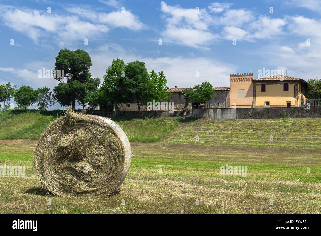 Bale of hay Stock Photo - Alamy