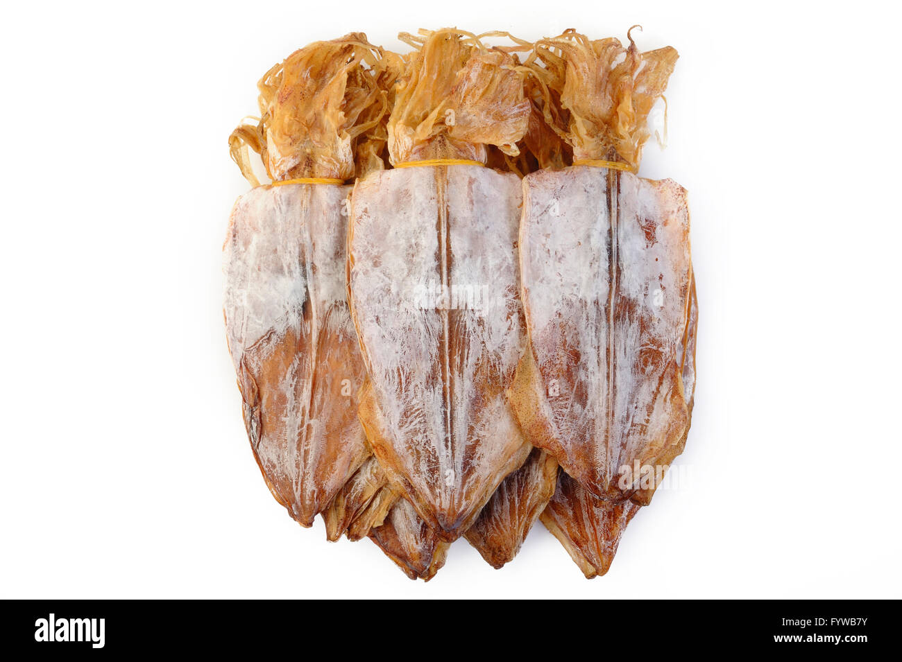 Dried squid on white background Stock Photo - Alamy