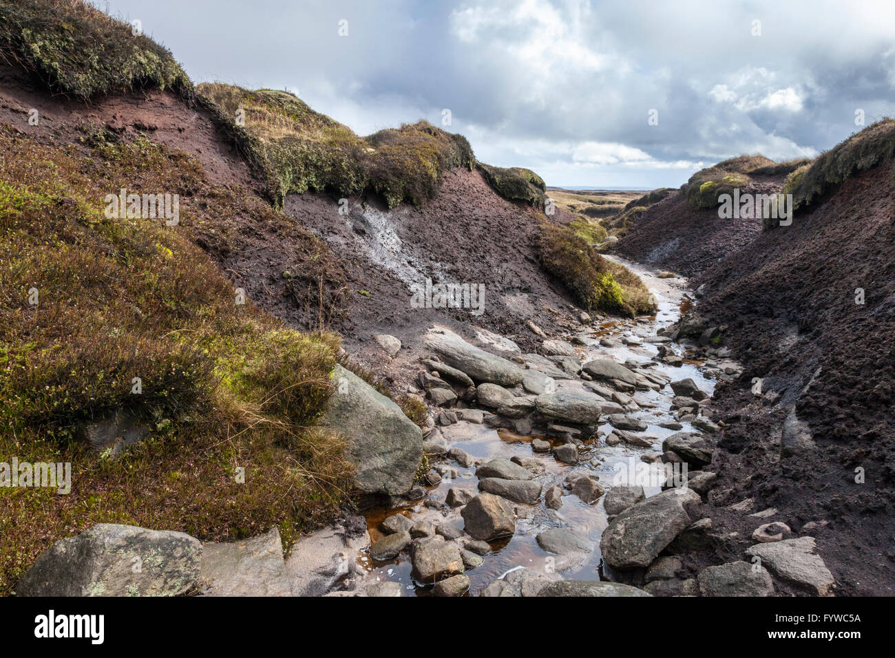 A gully and peat hags formed as a result of moorland erosion on Kinder ...