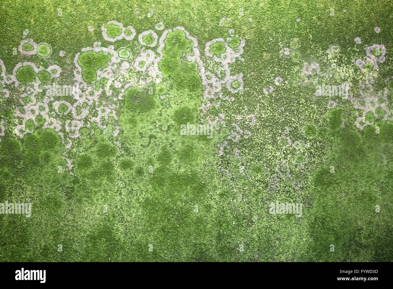 External mold hi-res stock photography and images - Alamy