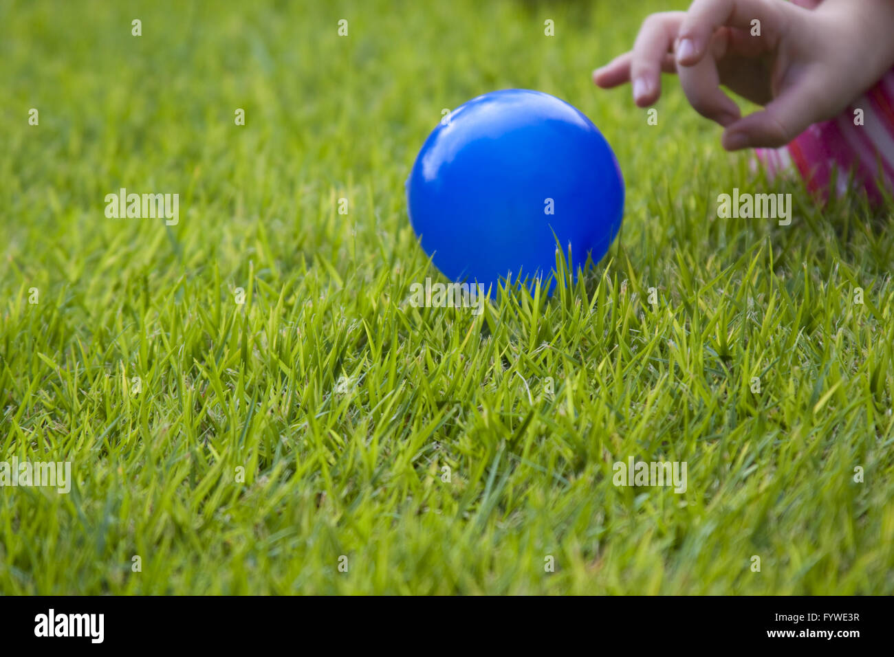 playing on grass Stock Photo - Alamy