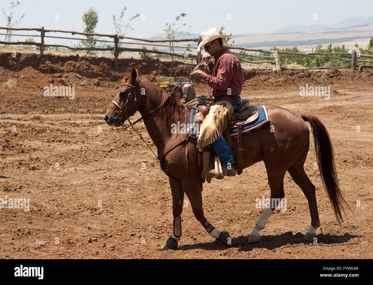 Cowboy catching horse hi-res stock photography and images - Alamy