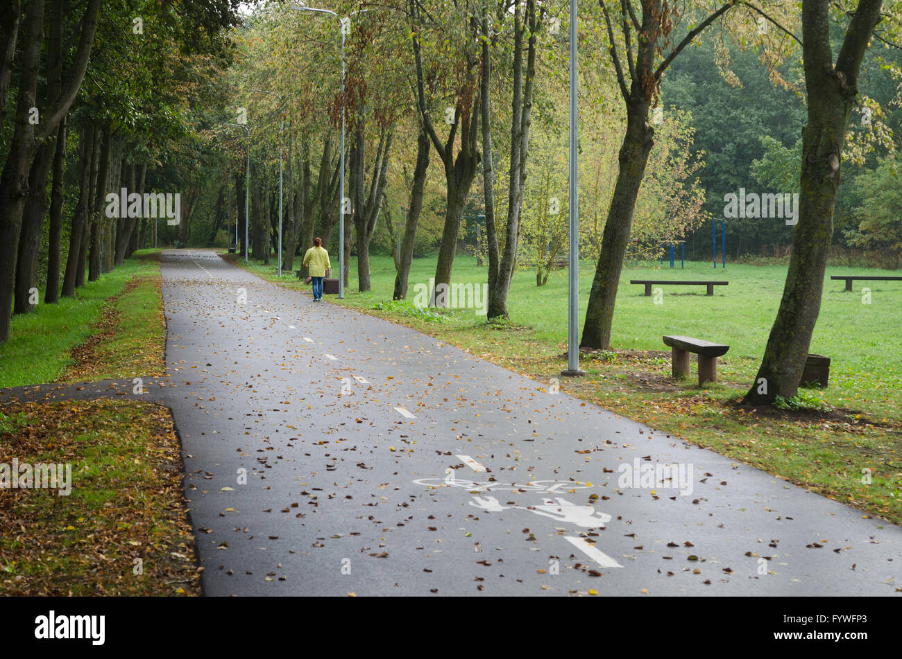 Pathway fallen leaves in hi-res stock photography and images - Alamy