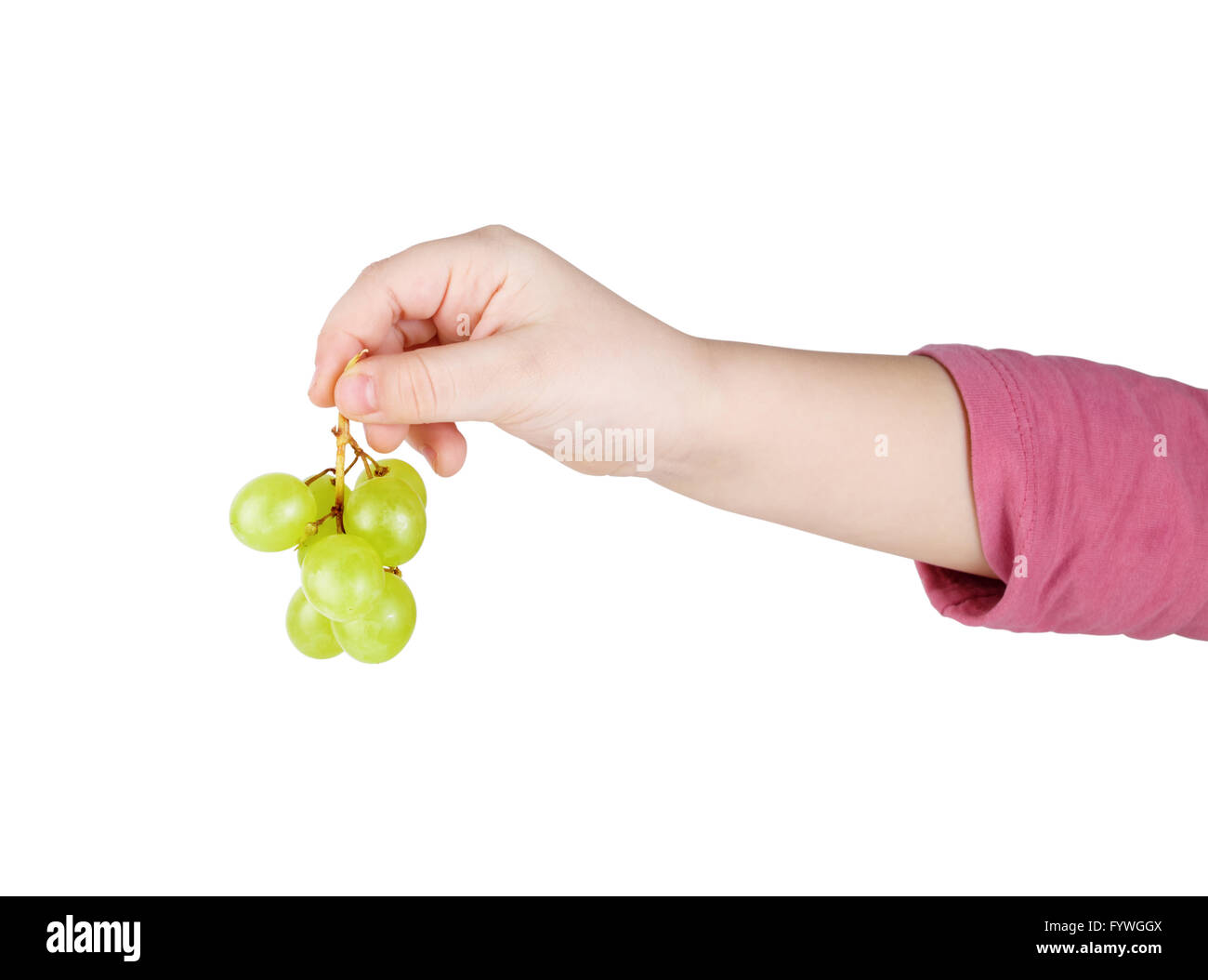 Grapes in hand Stock Photo - Alamy