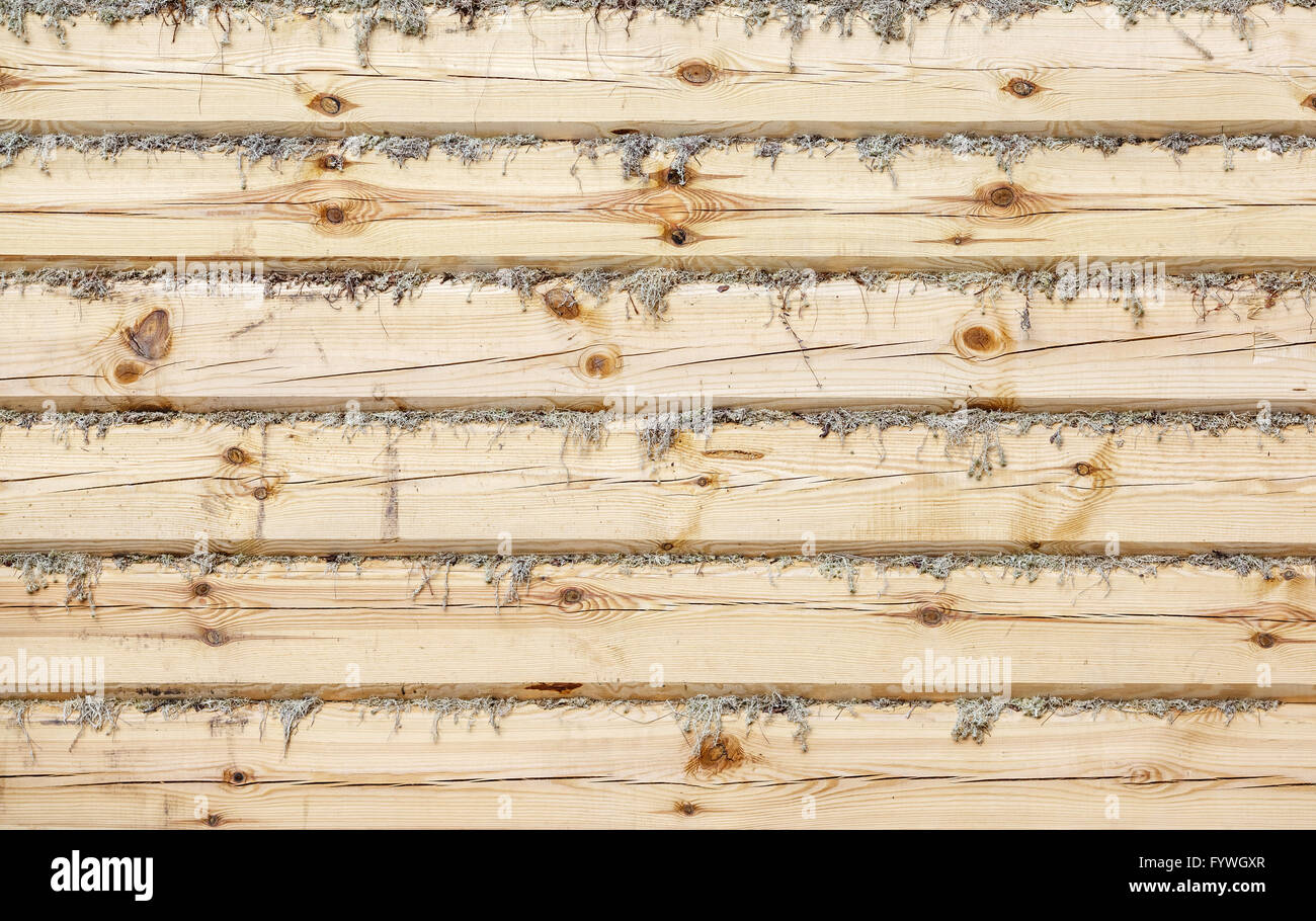 Wooden logs texture Stock Photo - Alamy