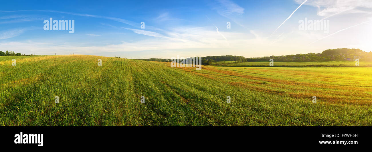 Panoramic summer landscape Stock Photo - Alamy