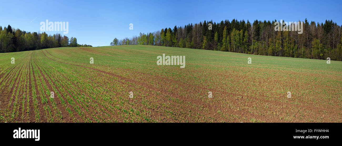 Arable field hi-res stock photography and images - Alamy