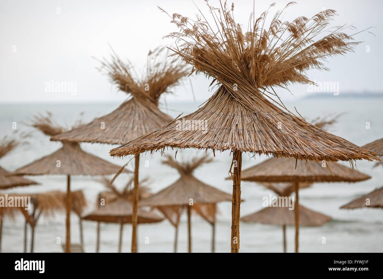 Group of straw umbrellas Stock Photo - Alamy