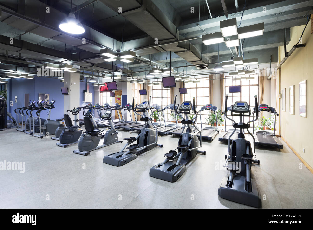 interior of modern gym Stock Photo - Alamy