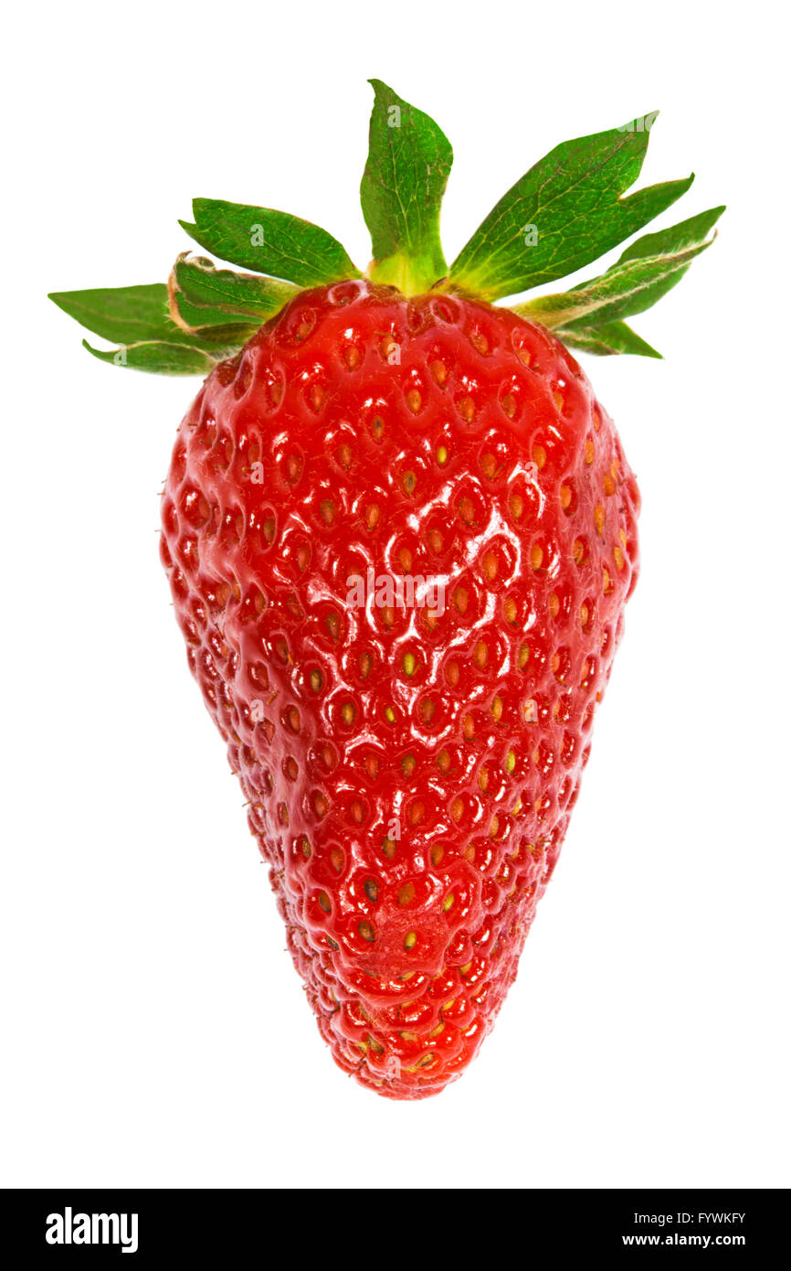 Large single strawberry hi-res stock photography and images - Alamy