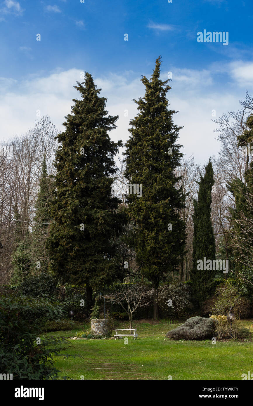 Secular plants hi-res stock photography and images - Alamy