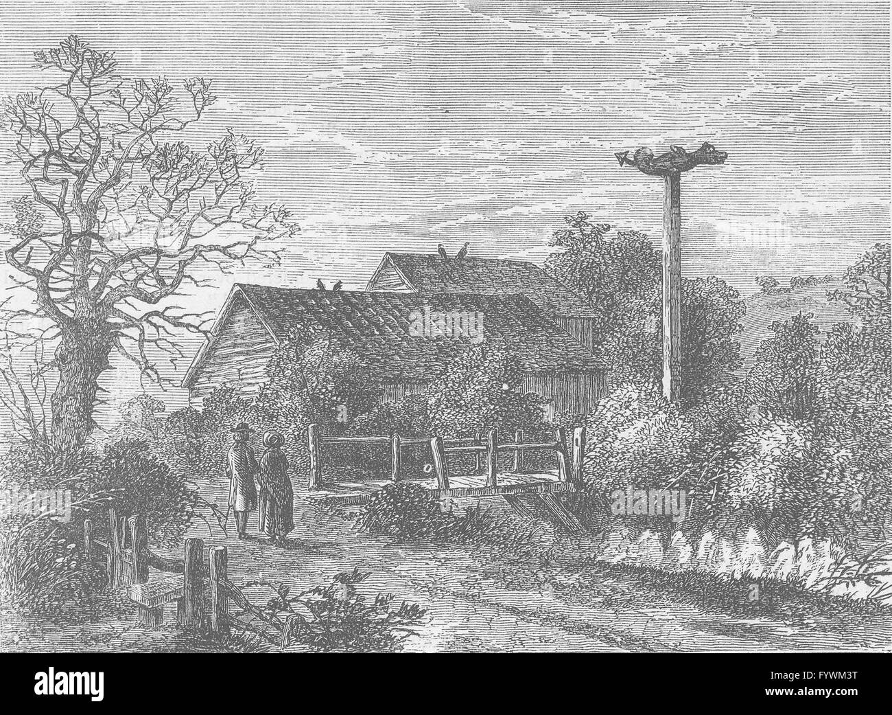 Sydenham in london hi-res stock photography and images - Alamy