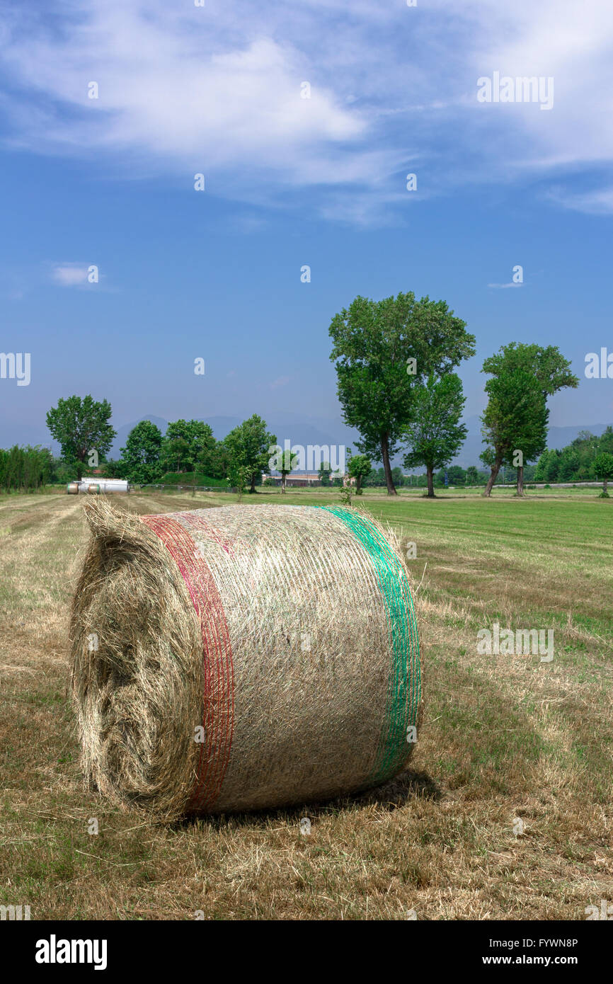 Bale of hay Stock Photo - Alamy