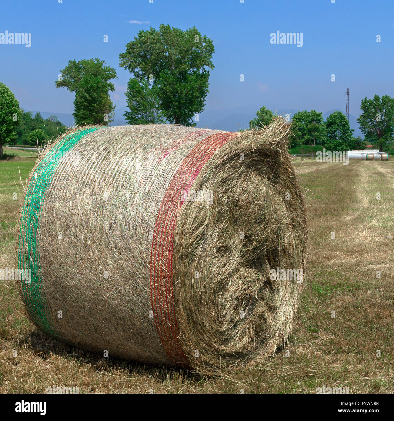 Bale of hay Stock Photo - Alamy