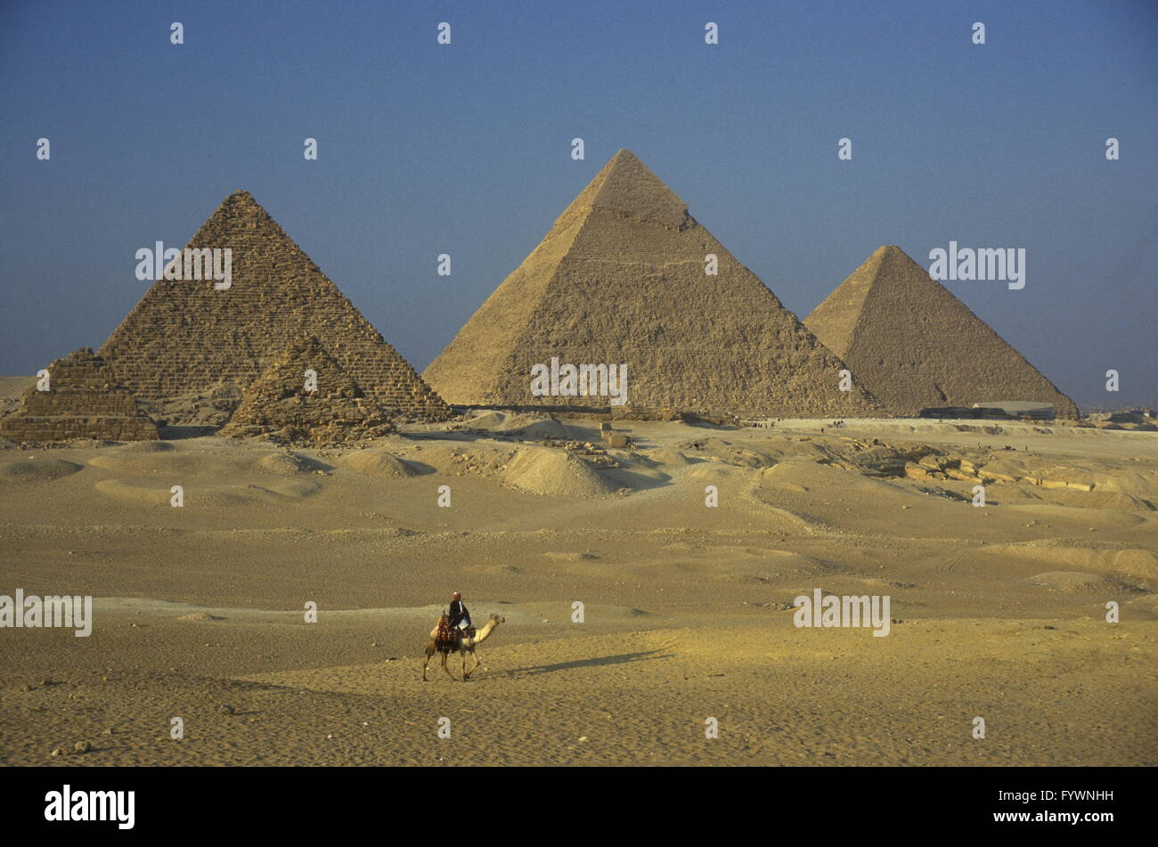 AFRICA EGYPT CAIRO GIZA PYRAMIDS Stock Photo - Alamy