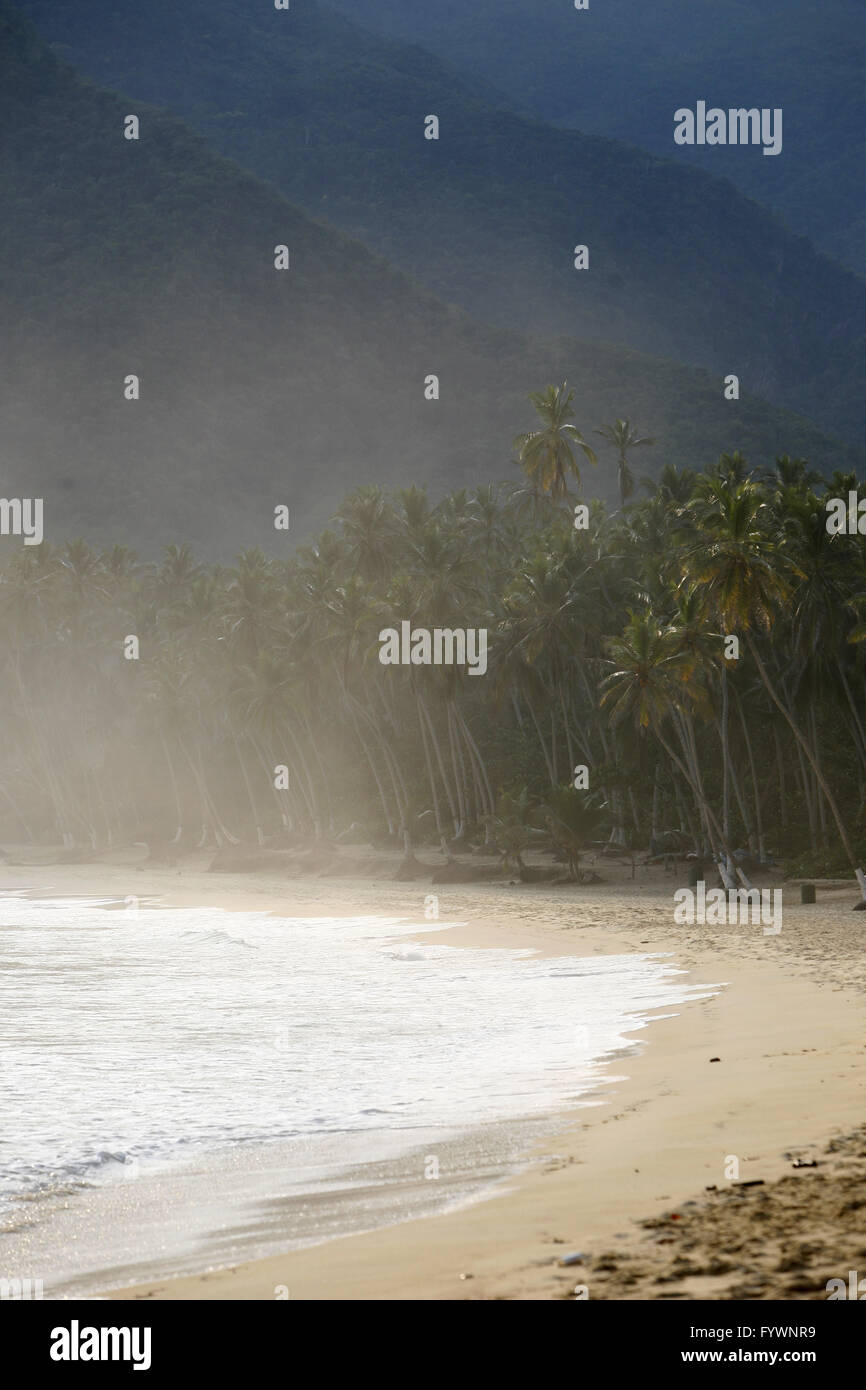 Choroni hi-res stock photography and images - Alamy