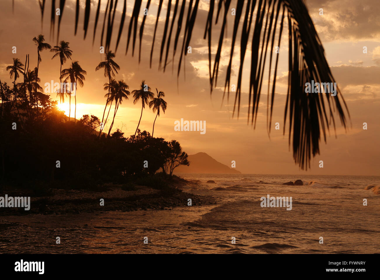 SOUTH AMERICA VENEZUELA CHORONI BEACH Stock Photo - Alamy