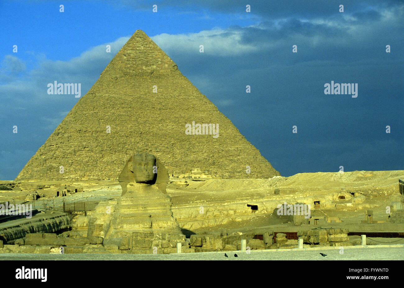 AFRICA EGYPT CAIRO GIZA PYRAMIDS Stock Photo - Alamy