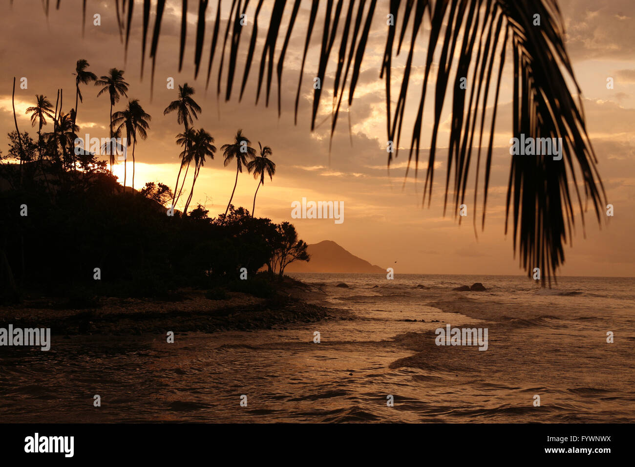 SOUTH AMERICA VENEZUELA CHORONI BEACH Stock Photo - Alamy