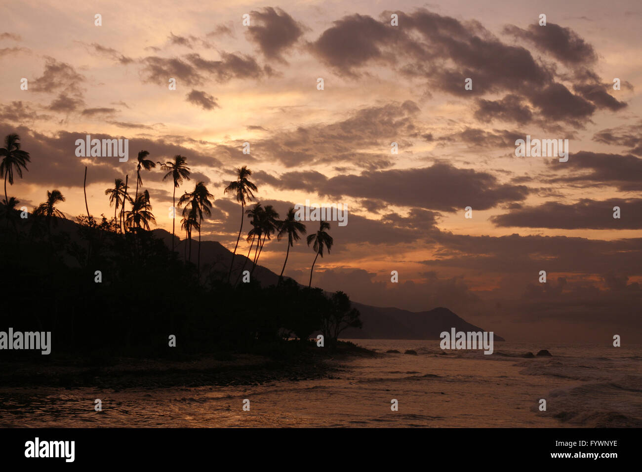 SOUTH AMERICA VENEZUELA CHORONI BEACH Stock Photo - Alamy