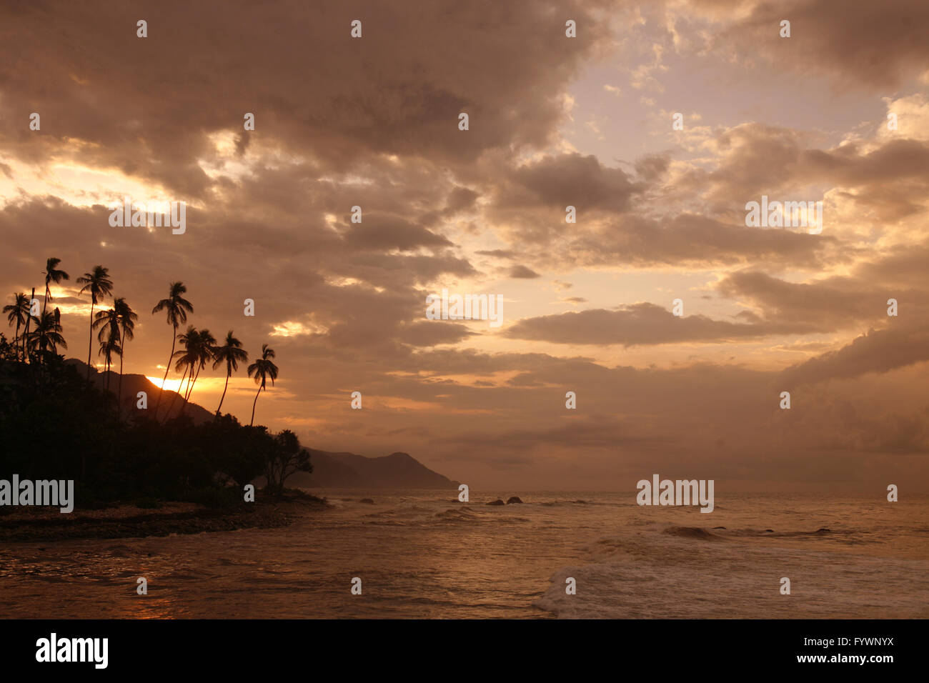 SOUTH AMERICA VENEZUELA CHORONI BEACH Stock Photo - Alamy