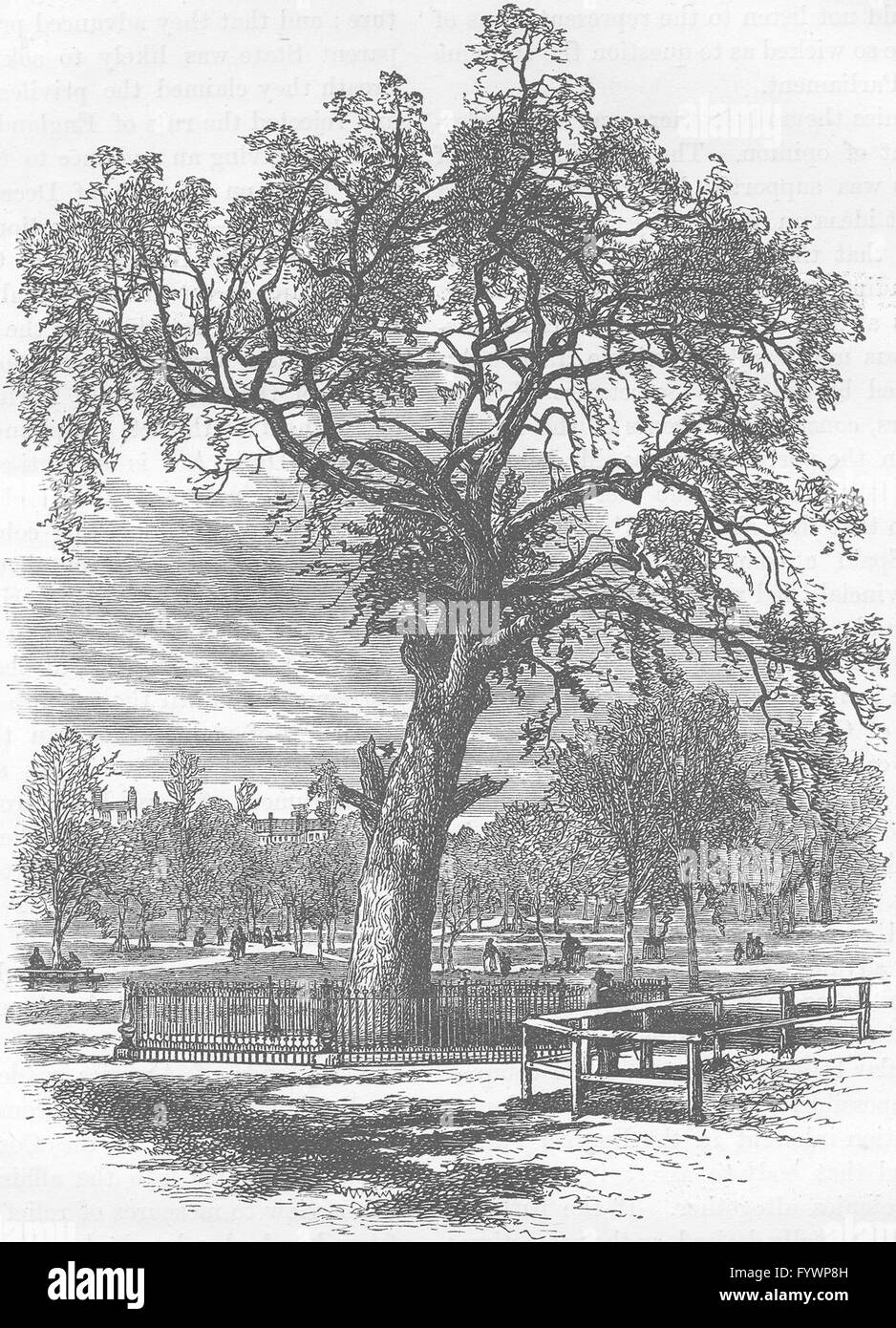 Boston common Black and White Stock Photos & Images - Alamy