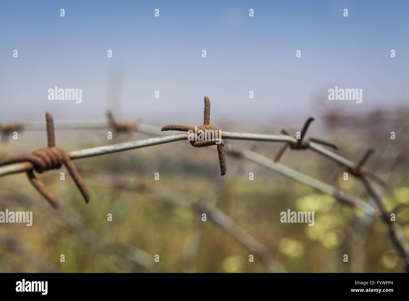 Old Barbed Wire Stock Photo - Alamy
