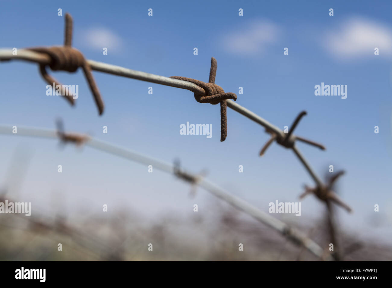Rusty Barbed Wire Stock Photo - Alamy