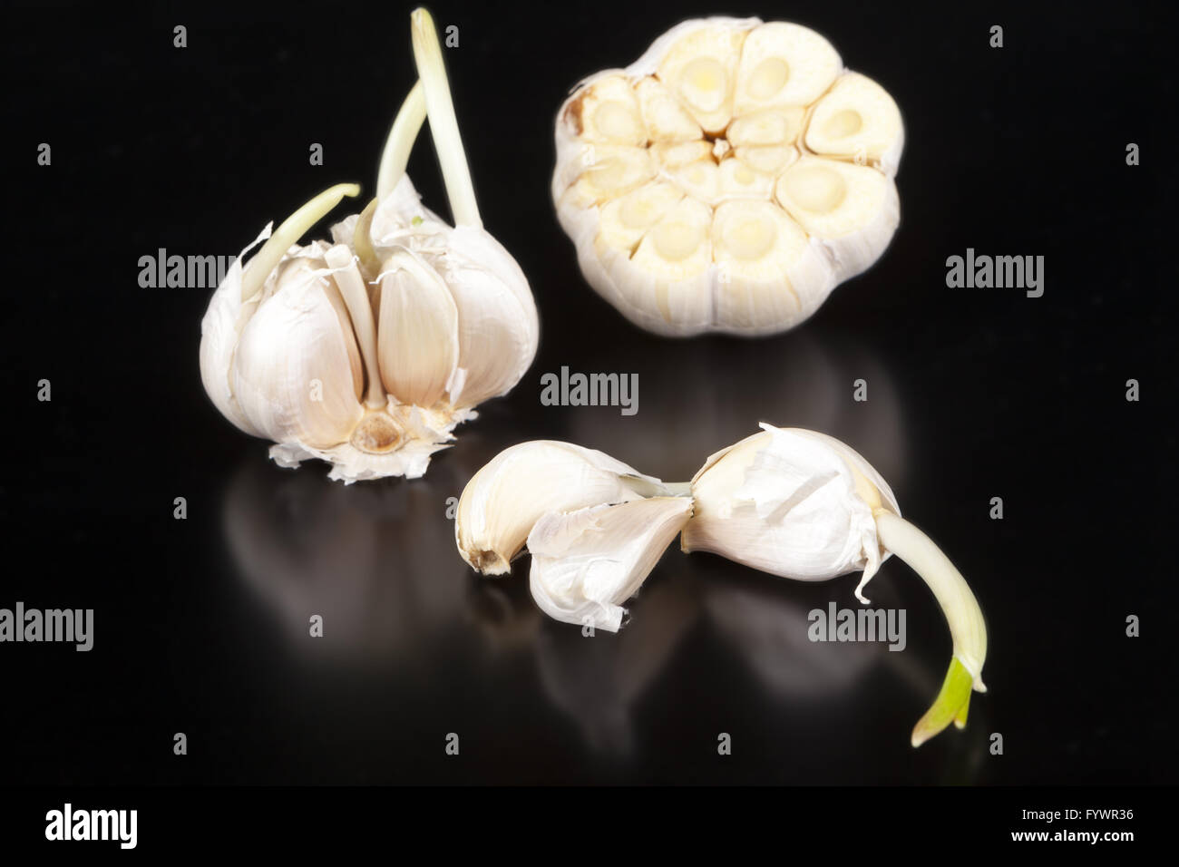 Broken white garlic hi-res stock photography and images - Alamy