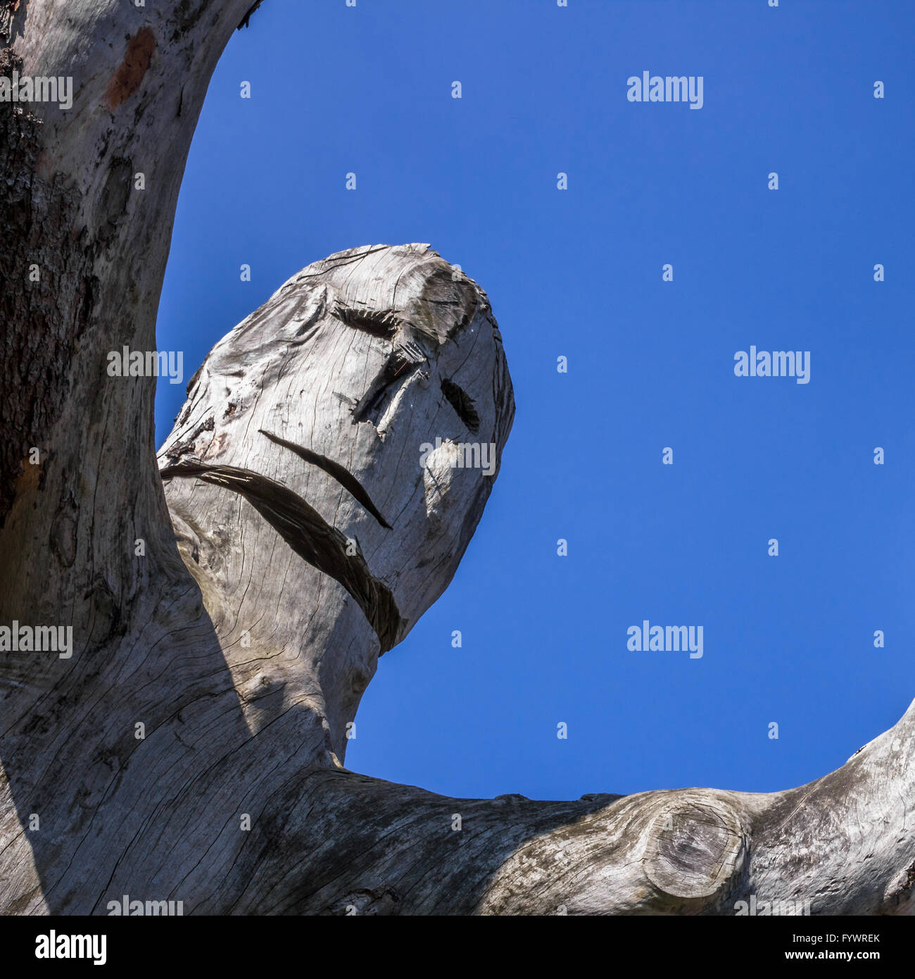 Wood carved tree human face hi-res stock photography and images - Alamy