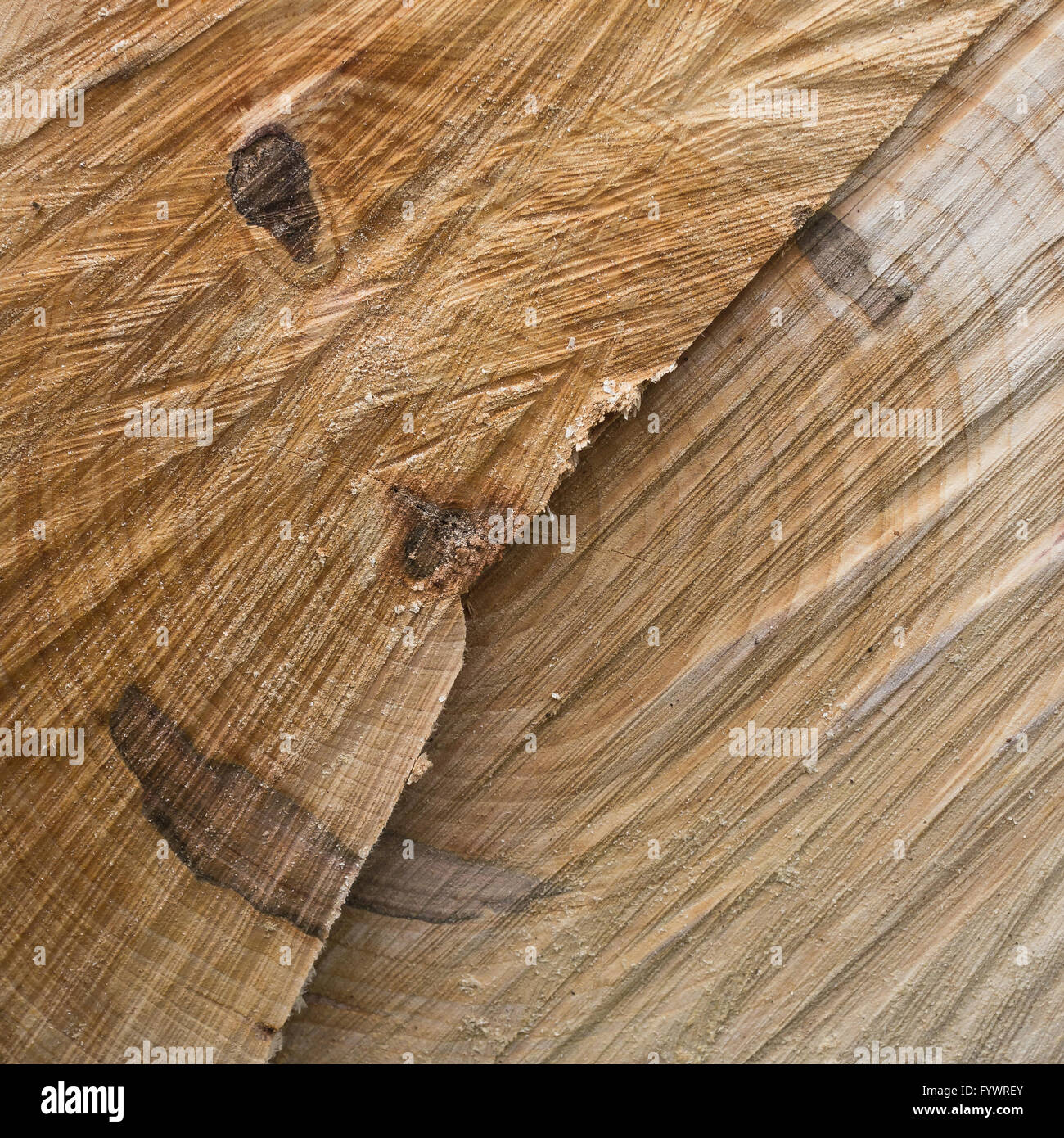 Human figure cross section hi-res stock photography and images - Alamy