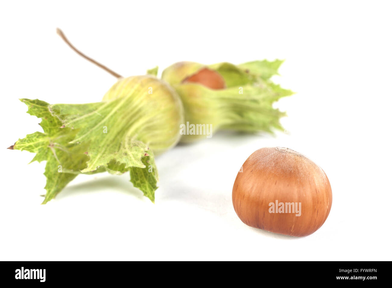 Hazel nu hi-res stock photography and images - Alamy