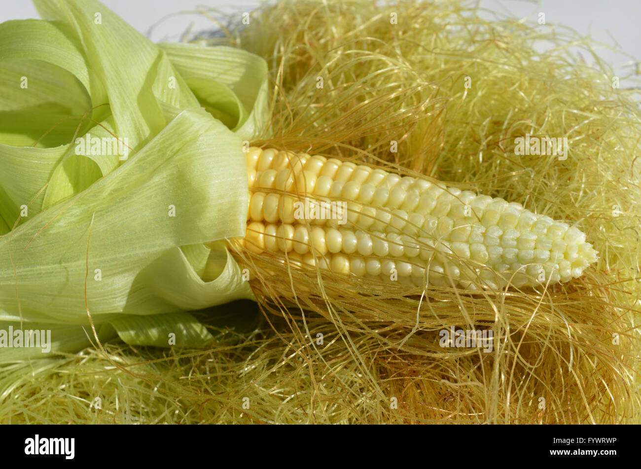 Young corn with leaves Stock Photo - Alamy