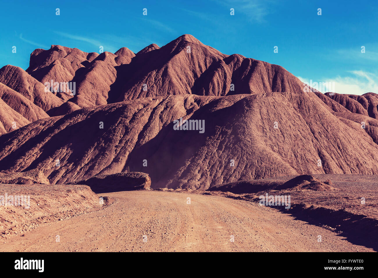 Puna Desert High Resolution Stock Photography and Images - Alamy
