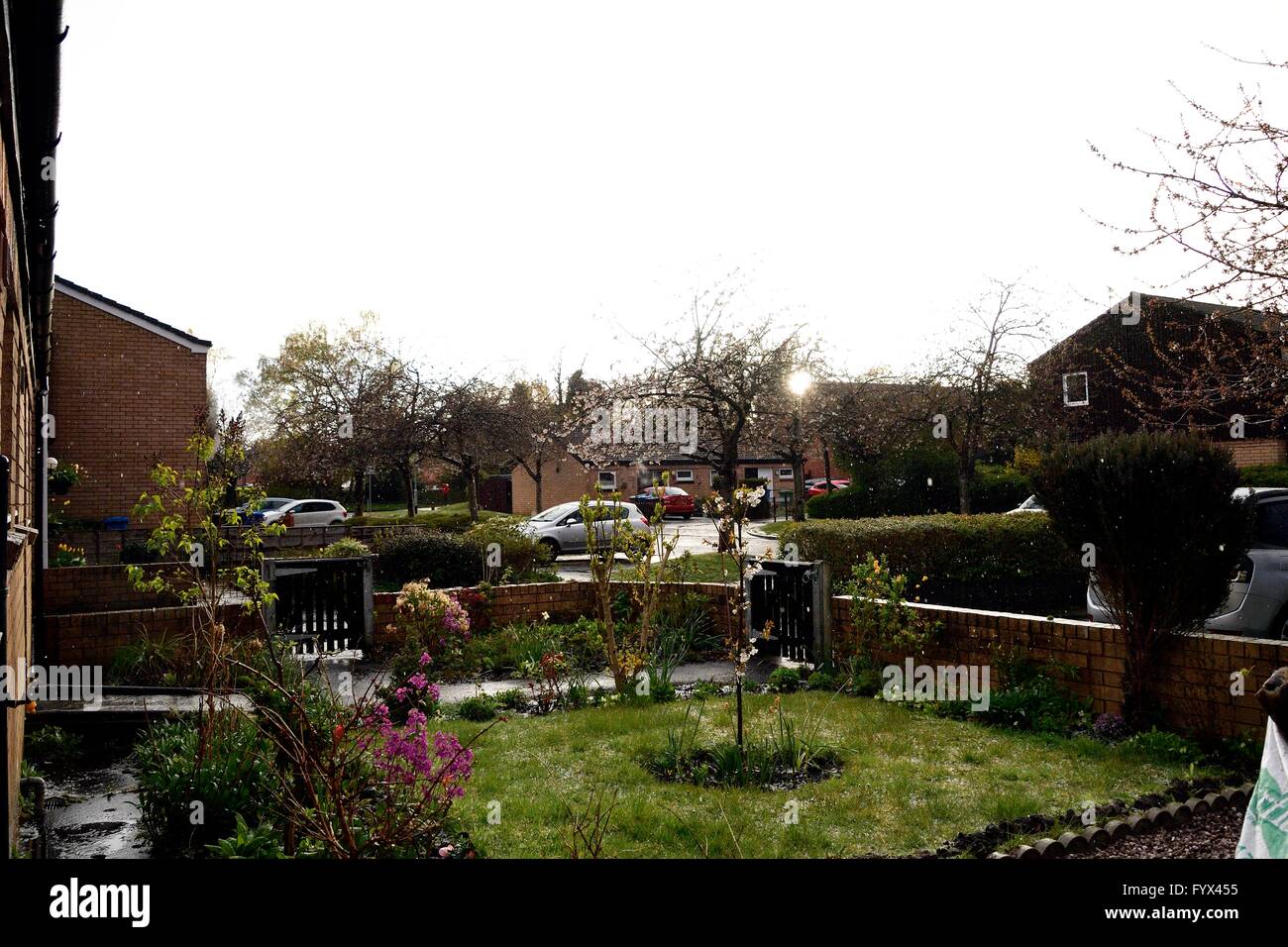 Warrington, Cheshire, UK. 28th April, 2016. Winter weather in ...