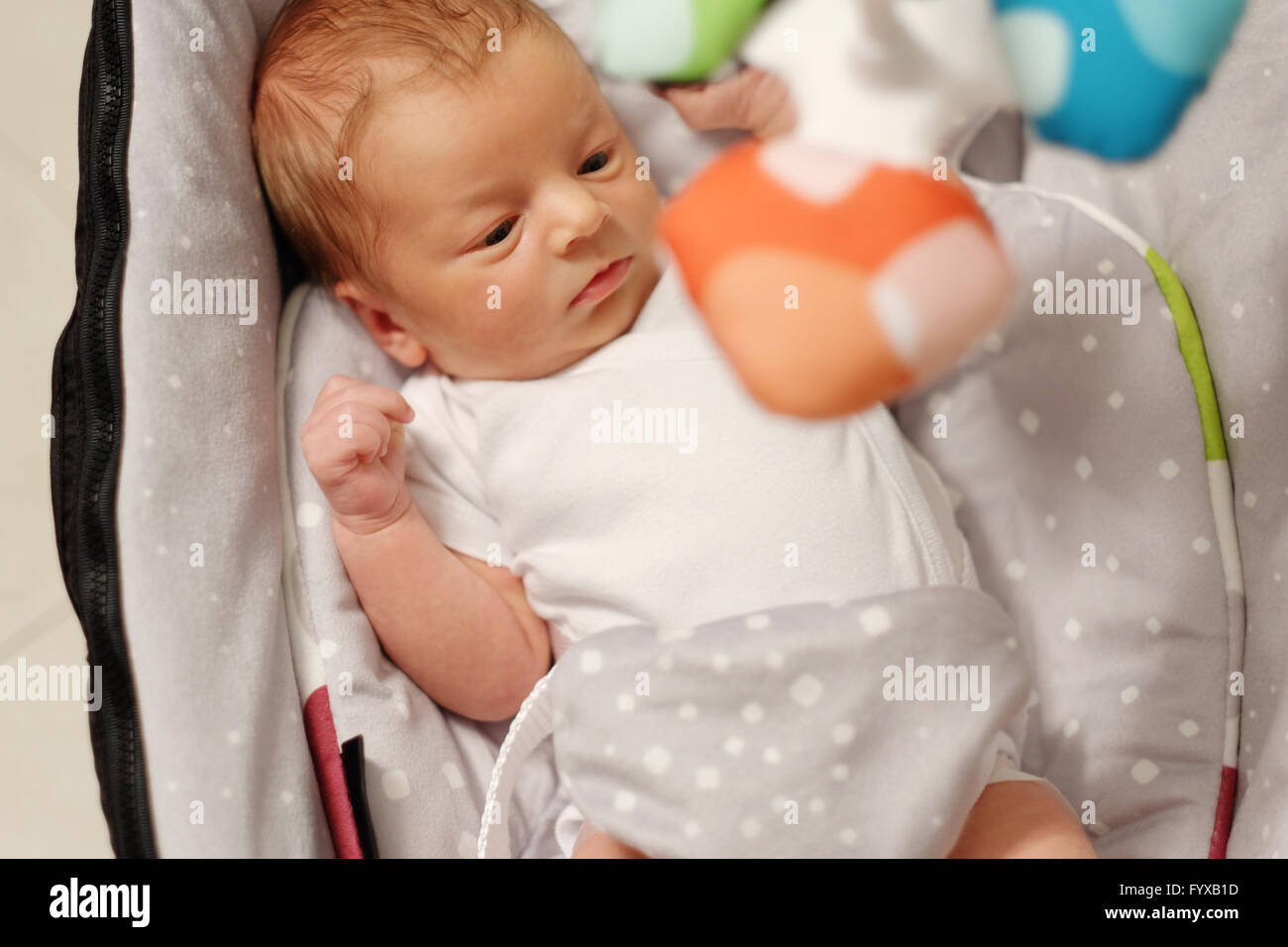 Two weeks old newborn baby Stock Photo - Alamy