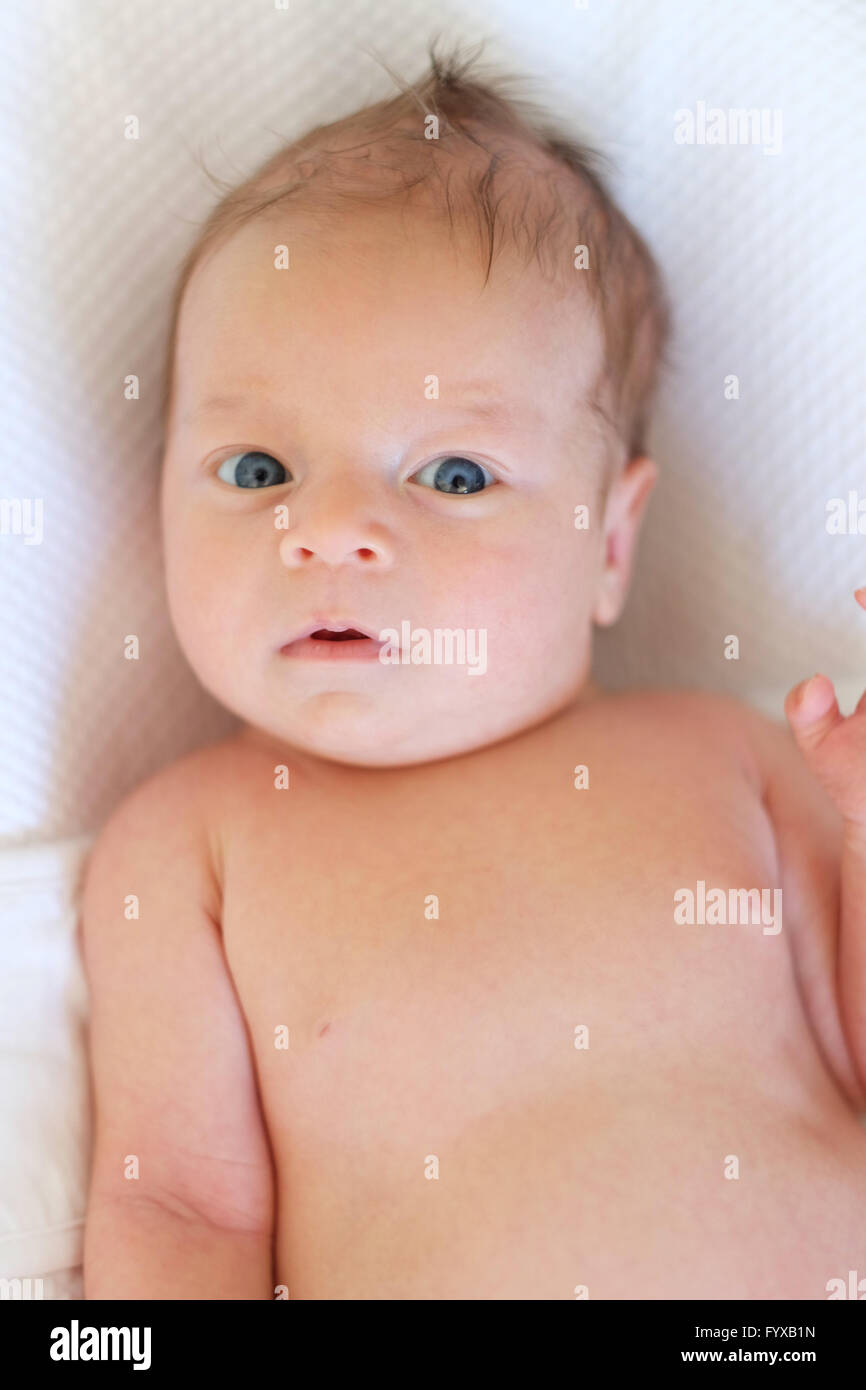 One month old baby Stock Photo - Alamy