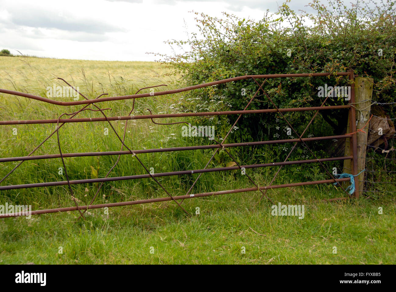 Dilapidated gate at edge of field Stock Photo - Alamy