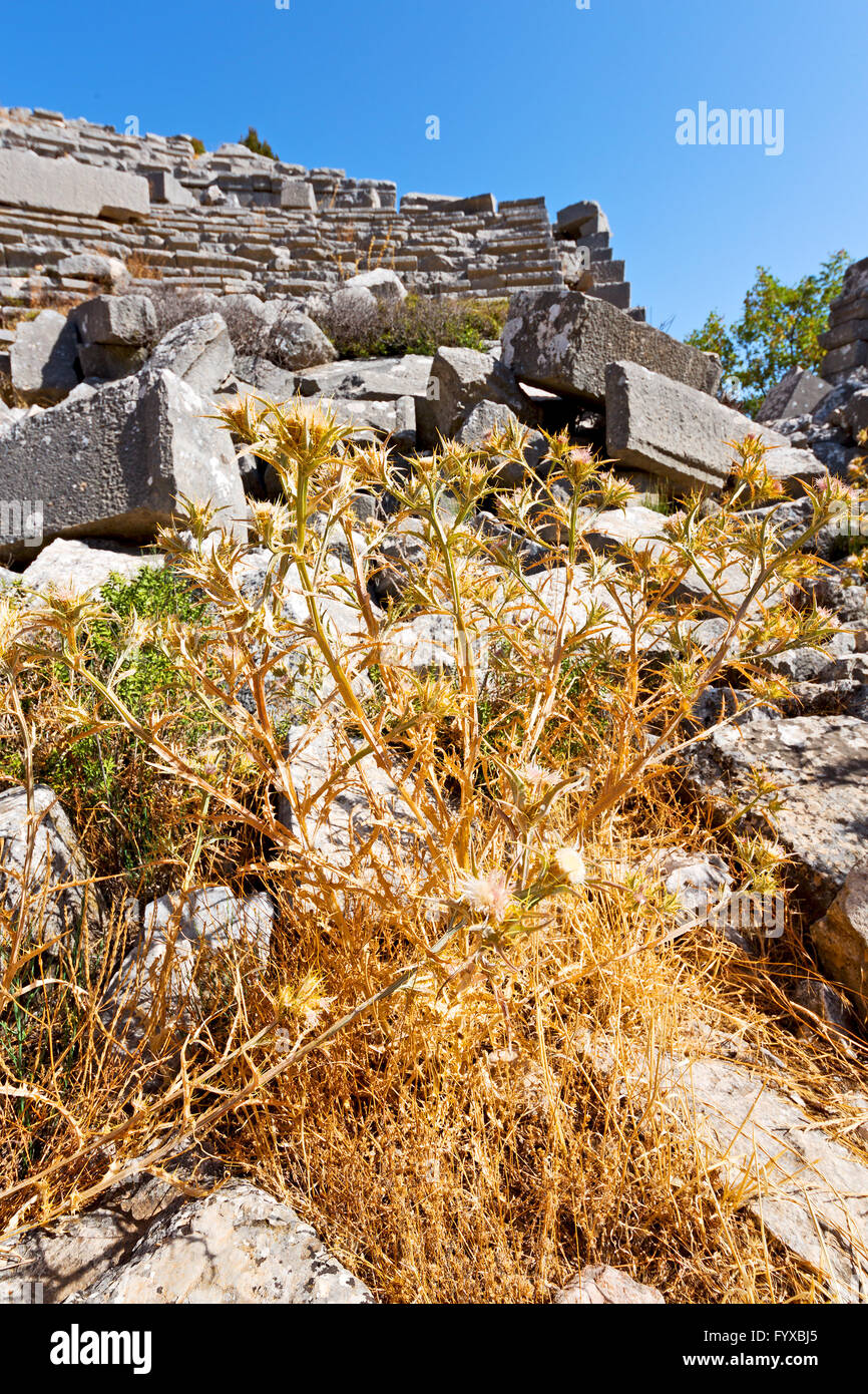 the old temple and ruins Stock Photo - Alamy