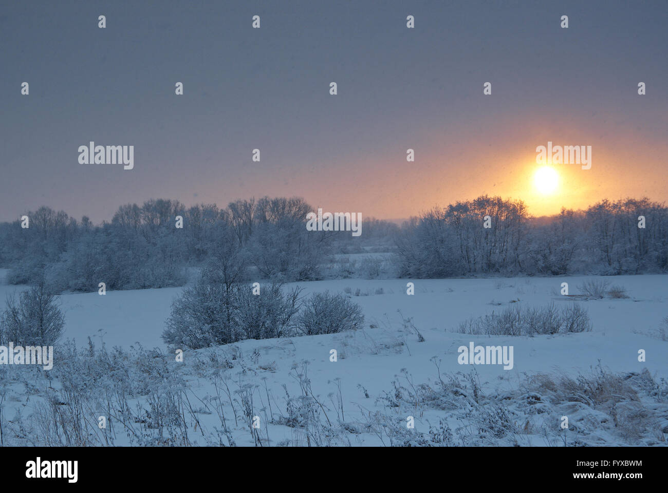 Winter landscape. snowfall Stock Photo - Alamy