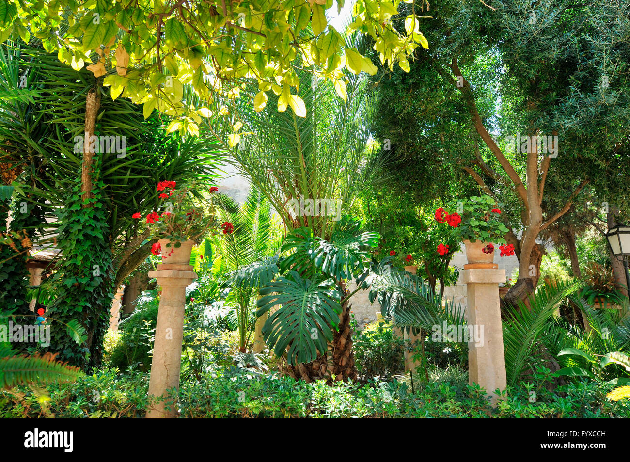 Gardens, Banys Arab, Palma de Mallorca, Mallorca, Spain / Spanish Baths ...