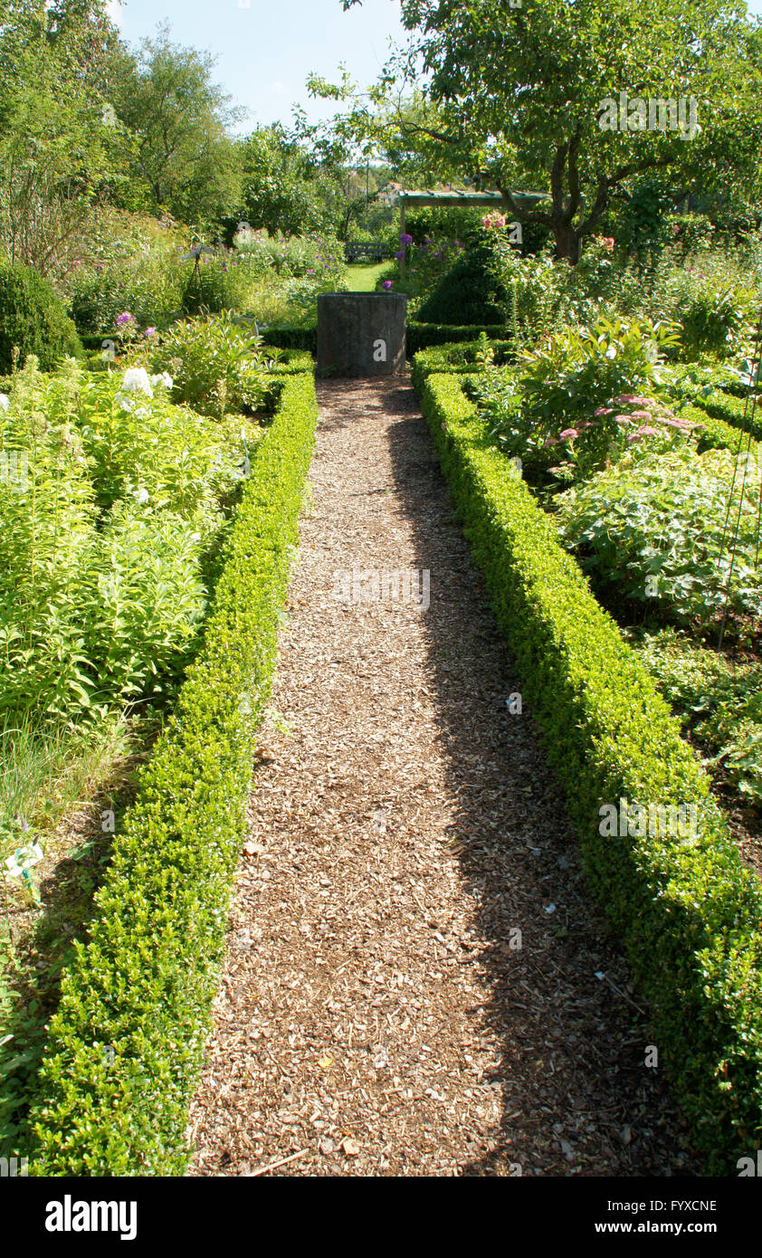Box hedges hi-res stock photography and images - Alamy