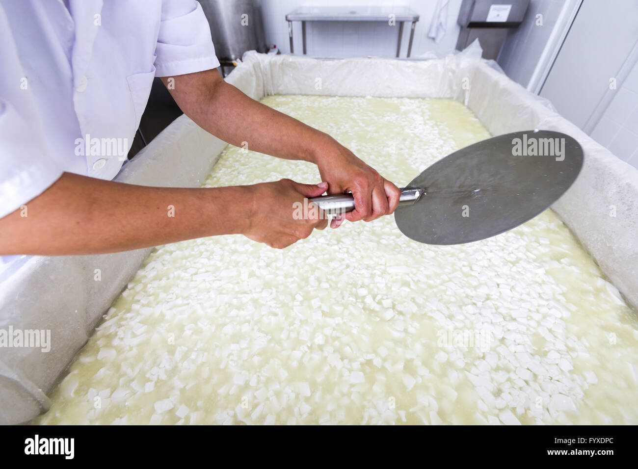 White Bulgarian cheese Stock Photo - Alamy