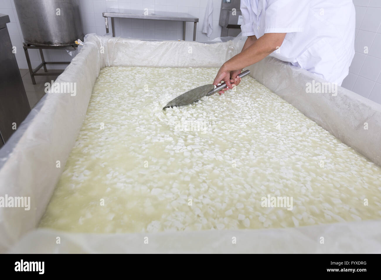 White Bulgarian cheese Stock Photo - Alamy