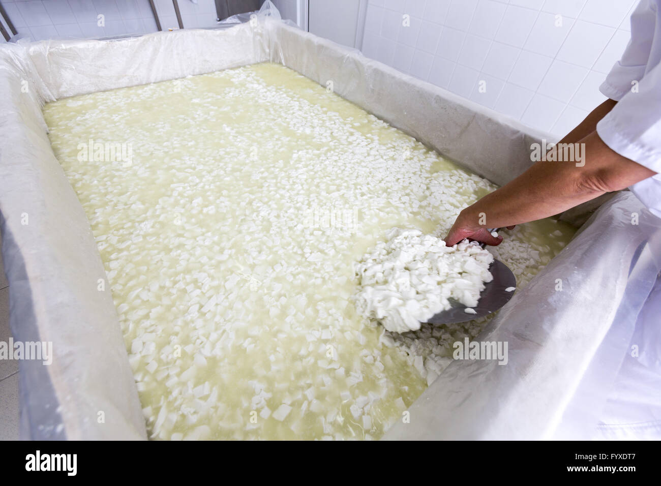 Cheese worker hands creamery dairy mixing Stock Photo - Alamy